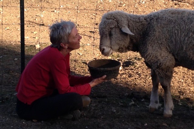 Stephanie Marohn: The Meaning of Life… soaring as a soul – Excellence ...